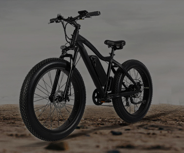 Changzhou Niubo Power (NBPower)